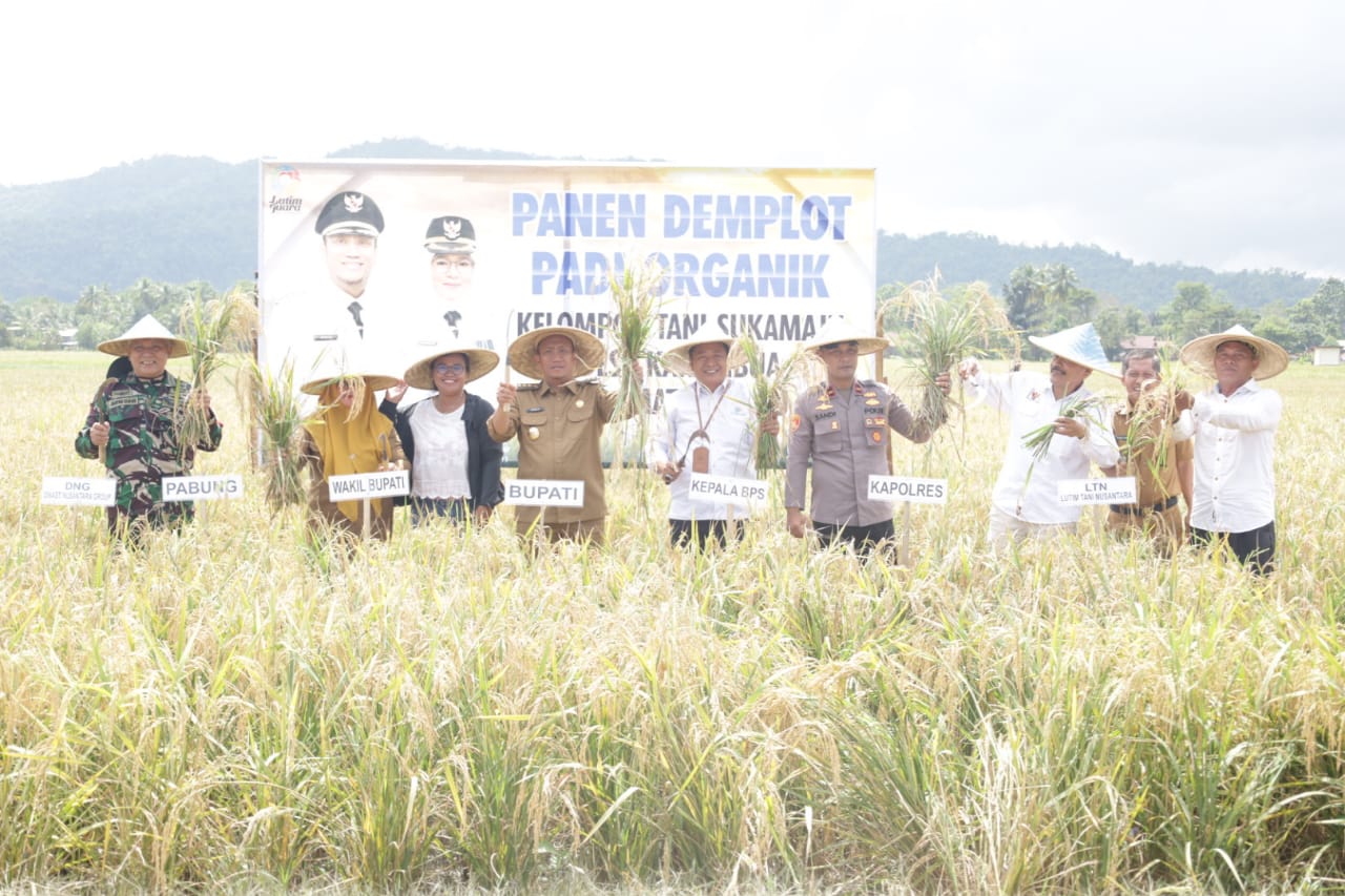 Bupati dan Wabup Lutim Panen Demplot Padi Organik di Karambua - Input ...